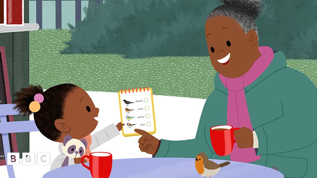 Spot the Birds - CBeebies