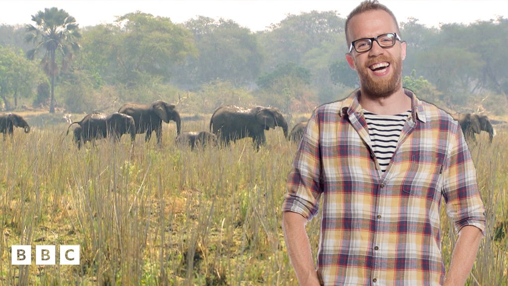 African Special Sneak Peek - CBeebies