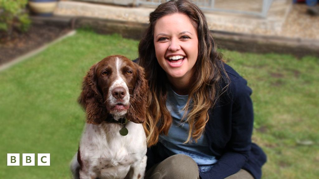 My Pet and Me Sneak Peek - CBeebies