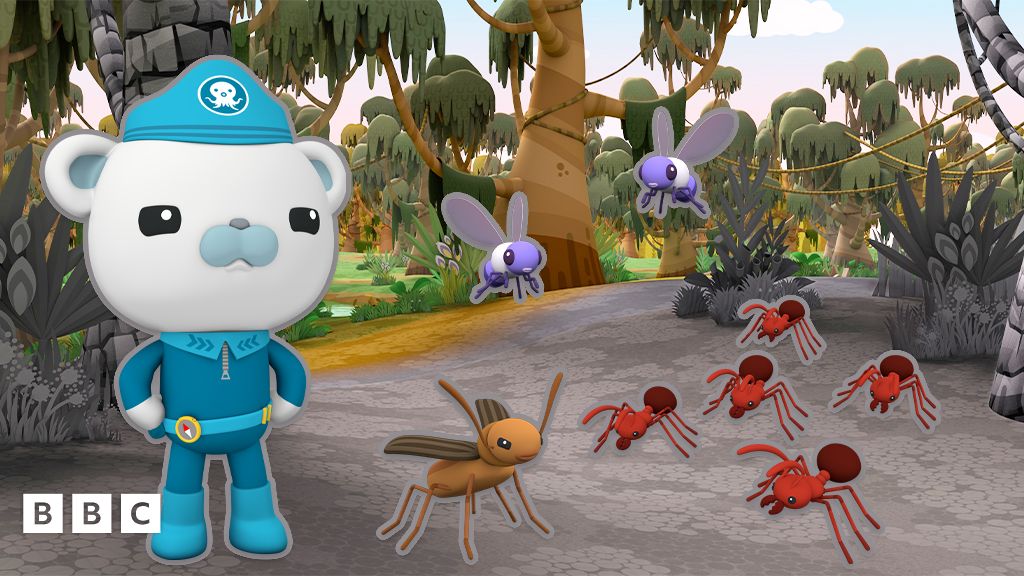 Octonauts: Insect quiz - CBeebies