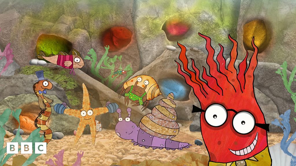 Old Jack's Boat Rockpool Tales Song - CBeebies