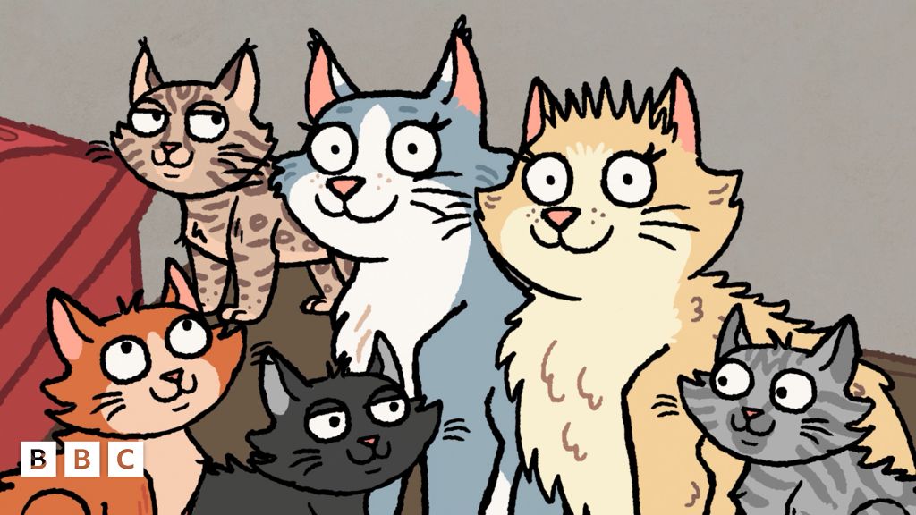 Family of Cats Song - CBeebies