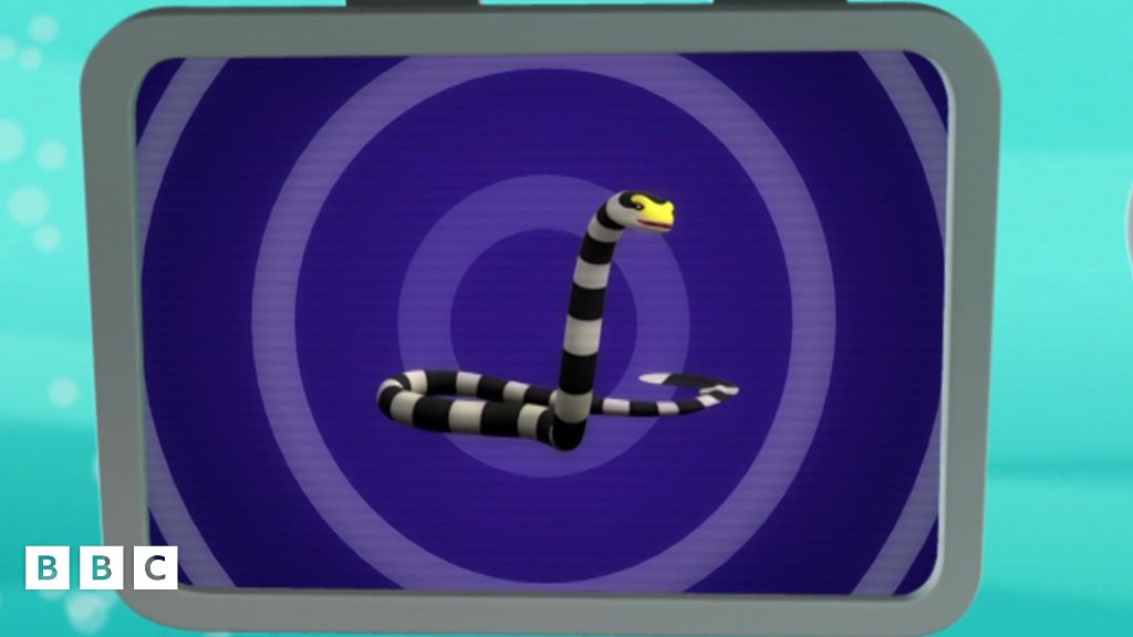 Sea Snake Creature Report - CBeebies