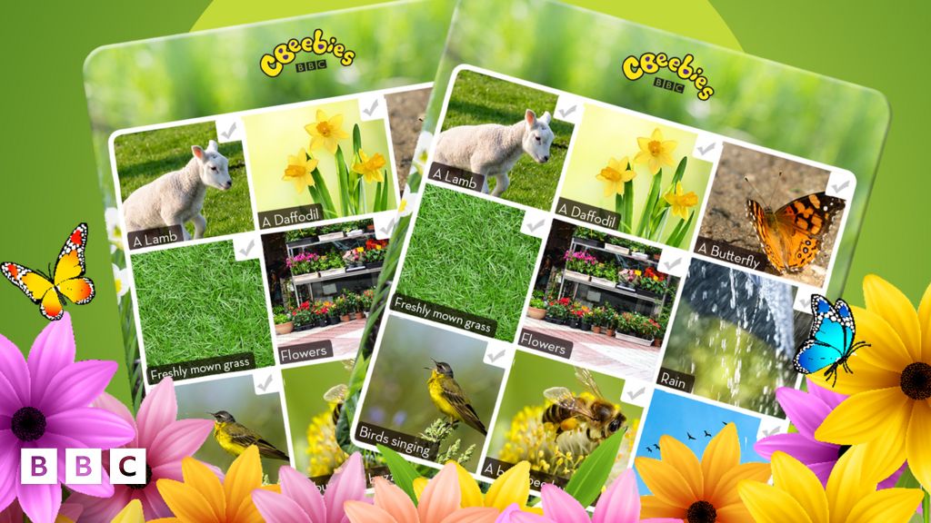 Spot signs of spring with a Springo card - CBeebies