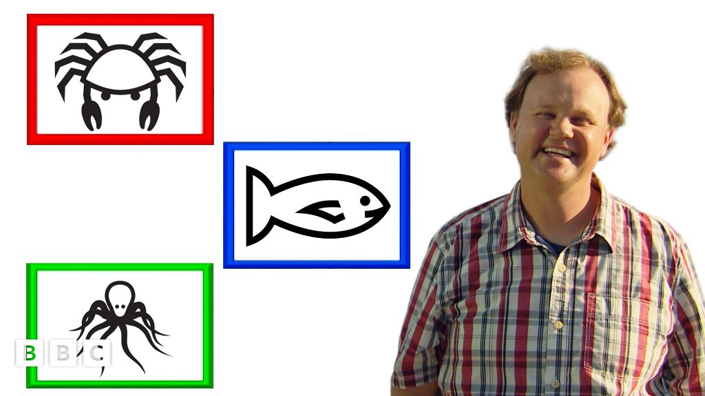 Crab, Fish and Octopus - CBeebies