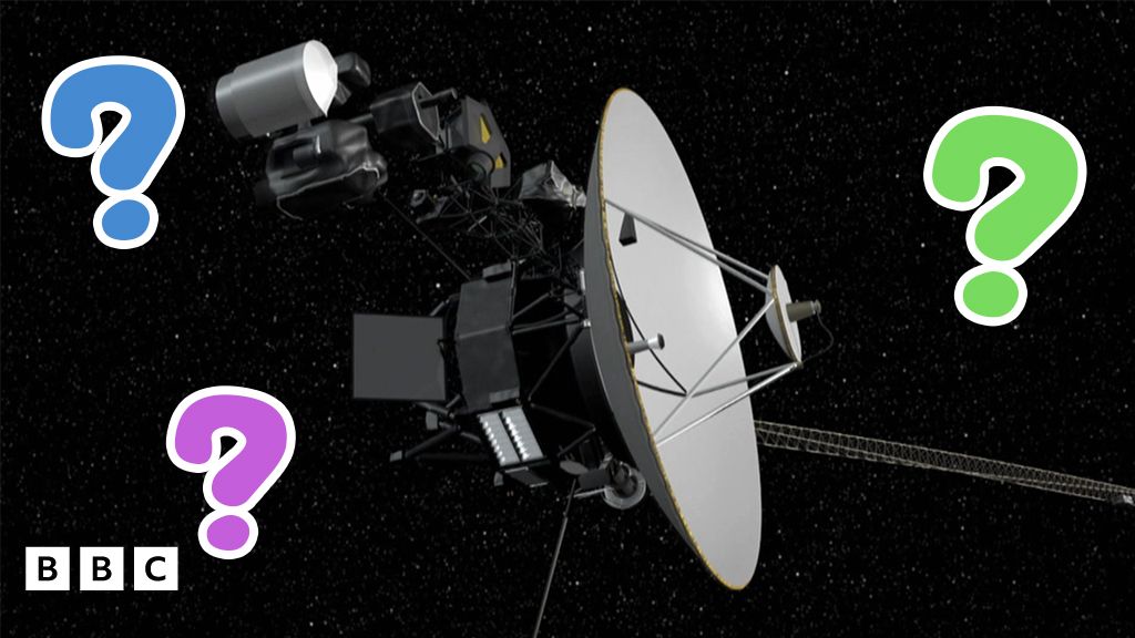 Episode Two Quiz - CBeebies