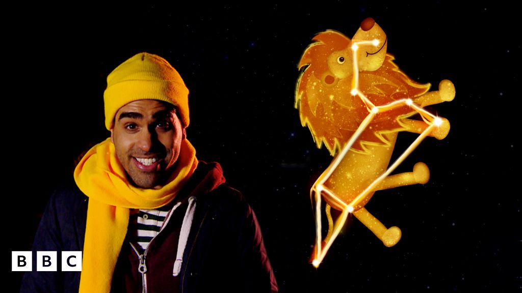 A Spotter's Guide to Leo - CBeebies