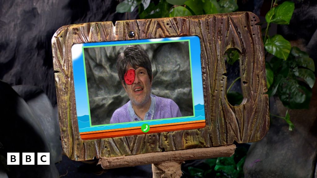 The family video call - CBeebies