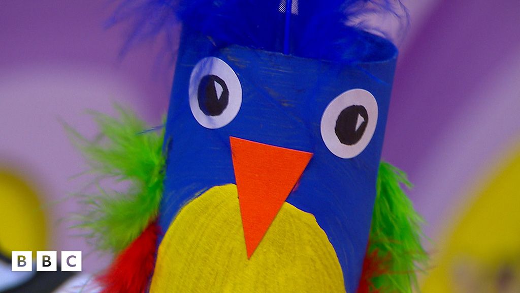 Parrot Pal - CBeebies