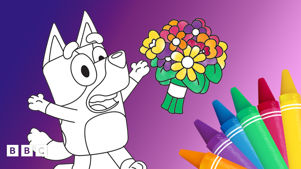 Free downloadable colouring sheets from Bluey 'The Sign' on CBeebies ...