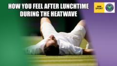 Serve Face: Hilarious Wimbledon Memes - CBBC
