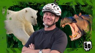 Deadly 60 - CBBC - BBC