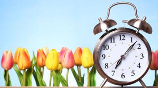 Newsround Quizzes - CBBC - BBC