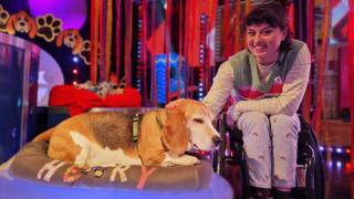 Here's One I Made Earlier: Blue Peter art, craft and DIYs - CBBC - BBC