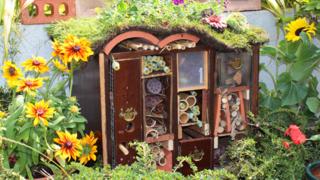 How to make a bug mansion - CBBC