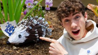 Here's One I Made Earlier: Blue Peter art, craft and DIYs - CBBC - BBC