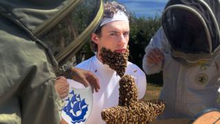 A fun quiz guessing family friendly celebrities behind a beard of bees ...