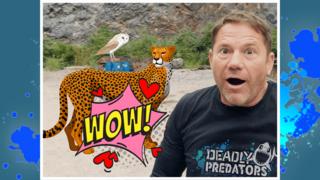 Deadly Predators - CBBC - BBC