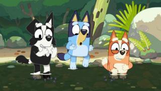 Bluey - CBeebies - BBC
