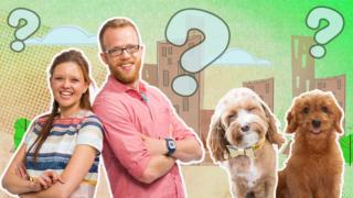 Ferne and Rory's Vet Tales - CBeebies - BBC