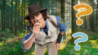 Andy's Safari Adventures - CBeebies - BBC
