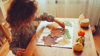 Enjoy autumn with CBeebies - CBeebies - BBC