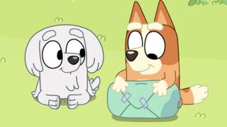 Watch clips from Bluey - CBeebies - BBC