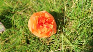 DIY Easy Easter bonnet - CBeebies