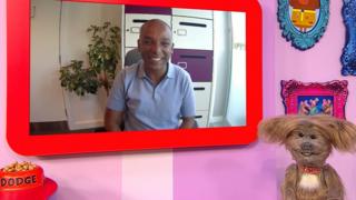 Celebrate International Day of Sign Languages 2024 on CBeebies ...