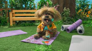 Dodge's Pup School - CBeebies - BBC