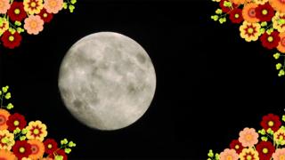 Enjoy autumn with CBeebies - CBeebies - BBC