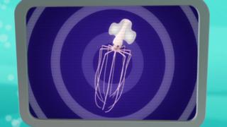 Octonauts Creature Reports - CBeebies - BBC