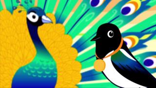 CBeebies Stories - CBeebies - BBC