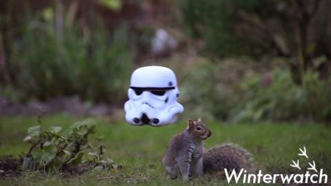 The squirrel strikes back... - Amazing, Aww and Awesome Animals - CBBC