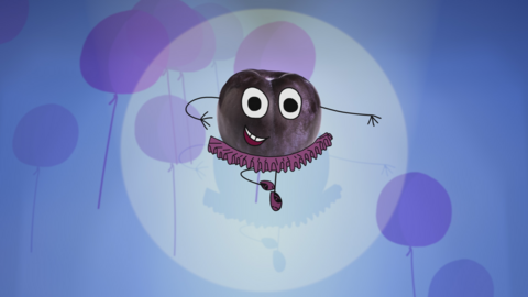 Roots and Fruits song playlist for kids: Cauliflower Act - CBeebies