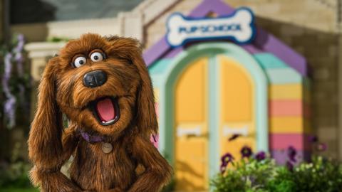 Get to know the pups in Dodge's Pup School - CBeebies
