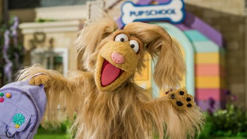 Get to know the pups in Dodge's Pup School - CBeebies