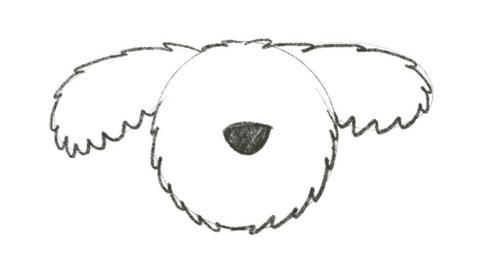 Draw along with Evie - CBeebies