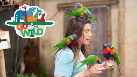 Aneeshwar and Lizzie Go Wild Theme Song - CBeebies