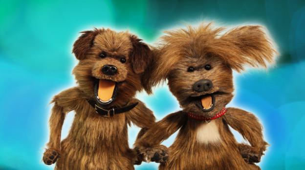 Hacker's Profile - CBBC