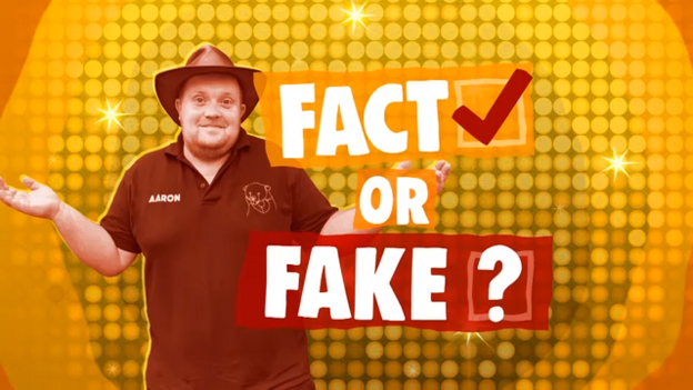 CBBC Animal Hub - CBBC - BBC