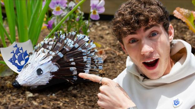 Here's One I Made Earlier: Blue Peter art, craft and DIYs - CBBC - BBC