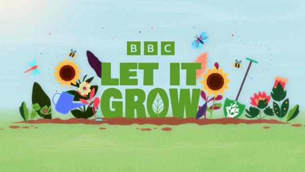 Grow your own veggies | How to grow veg indoors | How to grow ...