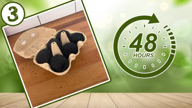 How to make seed balls | How to make a seed ball launcher | How to have ...