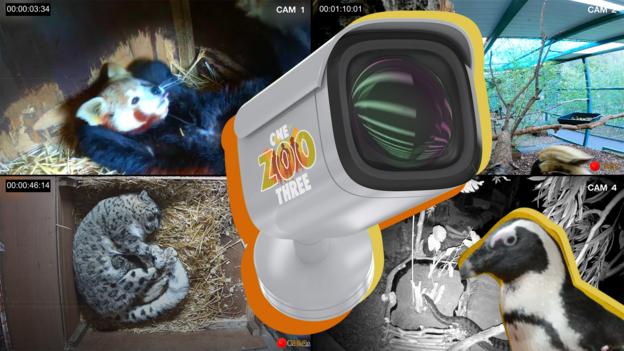 One Zoo Three - CBBC - BBC
