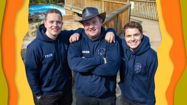 CBBC Animal Hub - CBBC - BBC