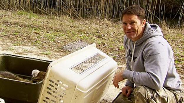 Deadly with Steve Backshall - CBBC - BBC