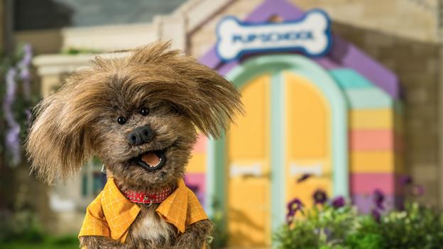 Get to know the pups in Dodge's Pup School - CBeebies