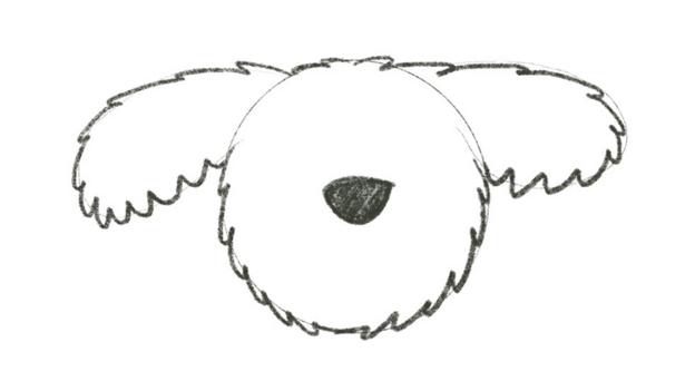 Draw along with Evie - CBeebies