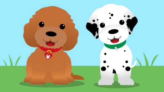 Animals - CBeebies - BBC